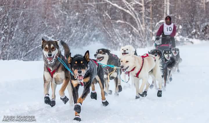 On your mark, get set… | News, Sports, Jobs - Times Observer